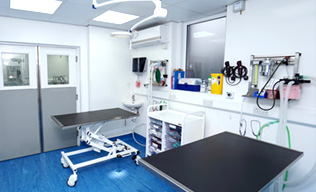 St Anne's Vets | Vets in Eastbourne | Cat & Dog Veterinary Clinic